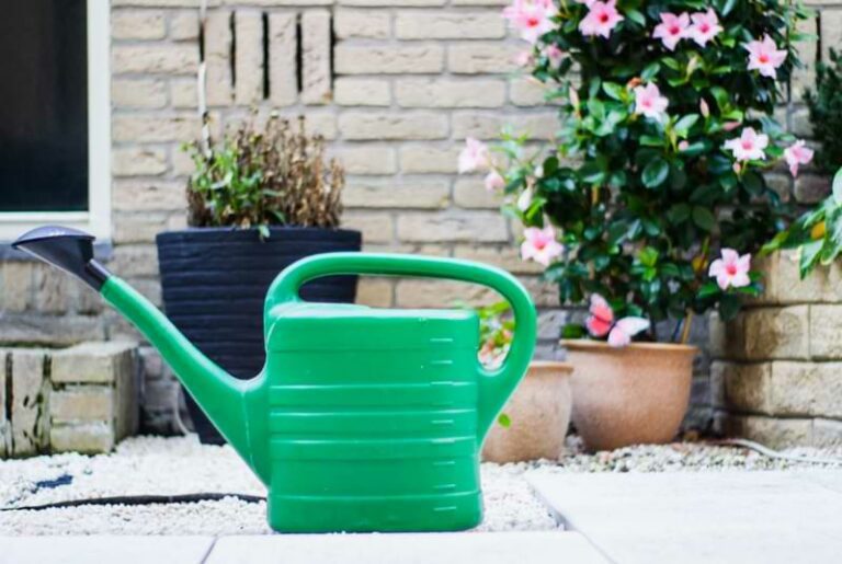 How to Decode Symbols on a Plant Tag | Houseplant Resource Center