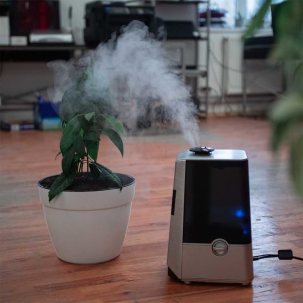 When and How to Mist Plants to Improve Humidity | HRC